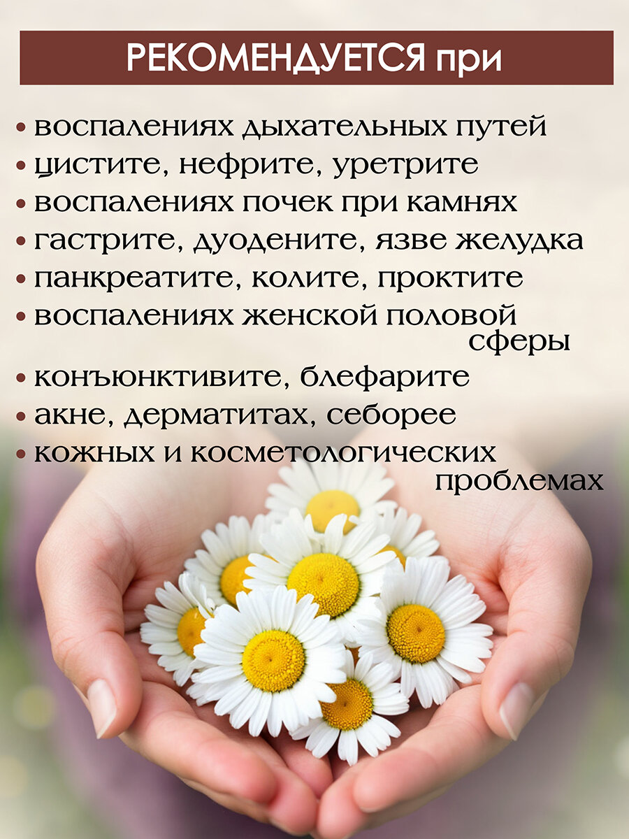Ромашка цветки, листья и стебли ( 100гр. ) стимулирует выведение мочевой кислоты из организма — фото 1