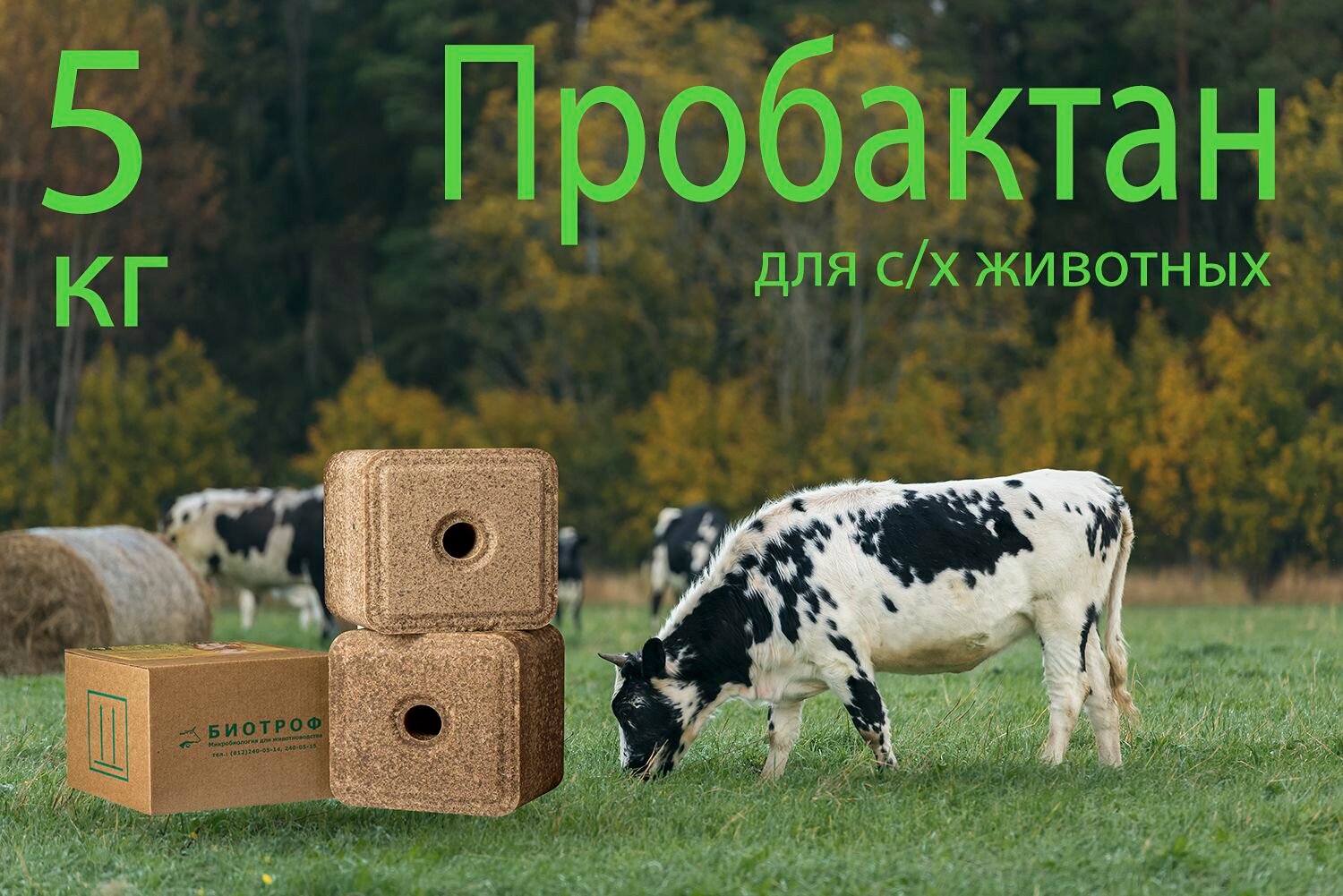 Лизунец Пробактан
