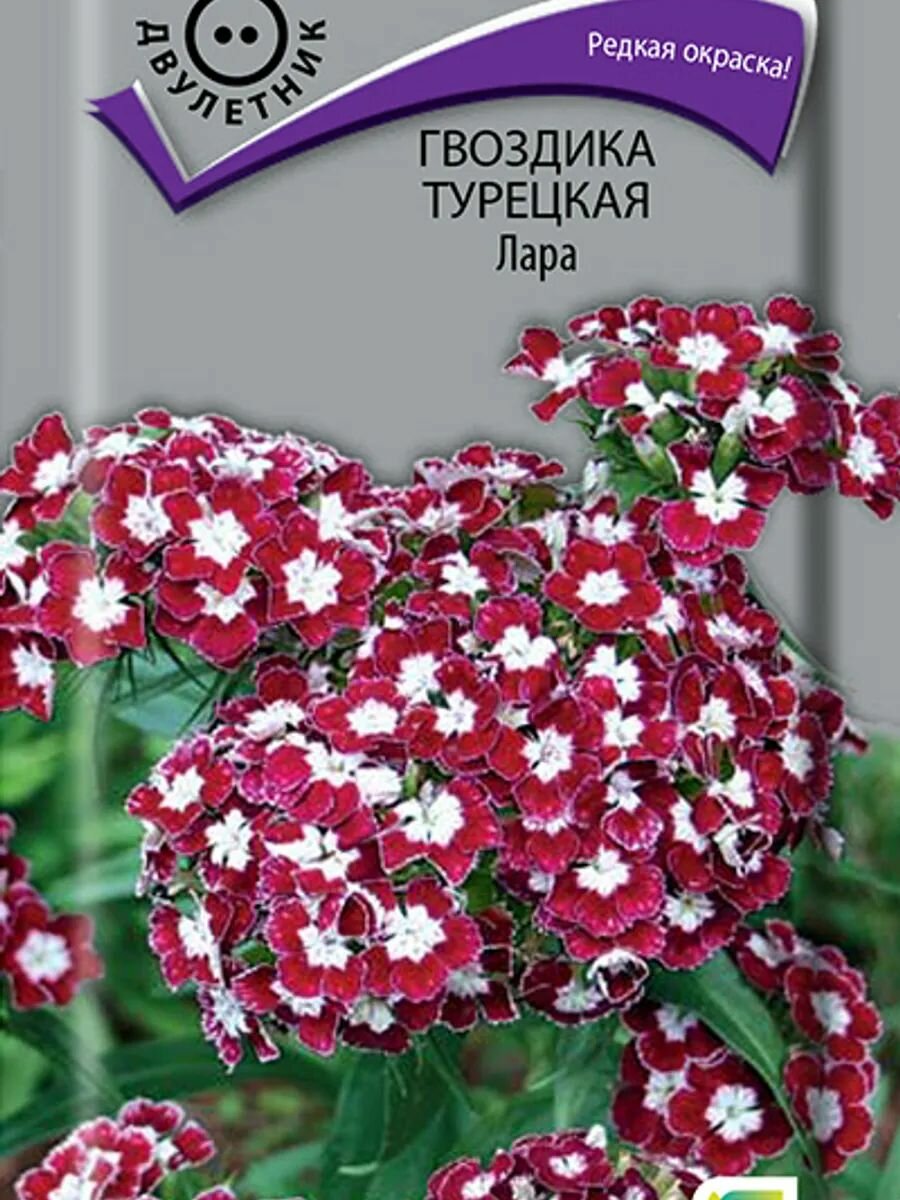 Гвоздика Турецкая Лара 0,3 г, Семена Поиск