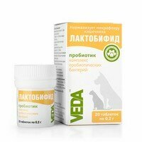 Пробиотик Комплекс пробиотических бактерий 0,2г х 20таб