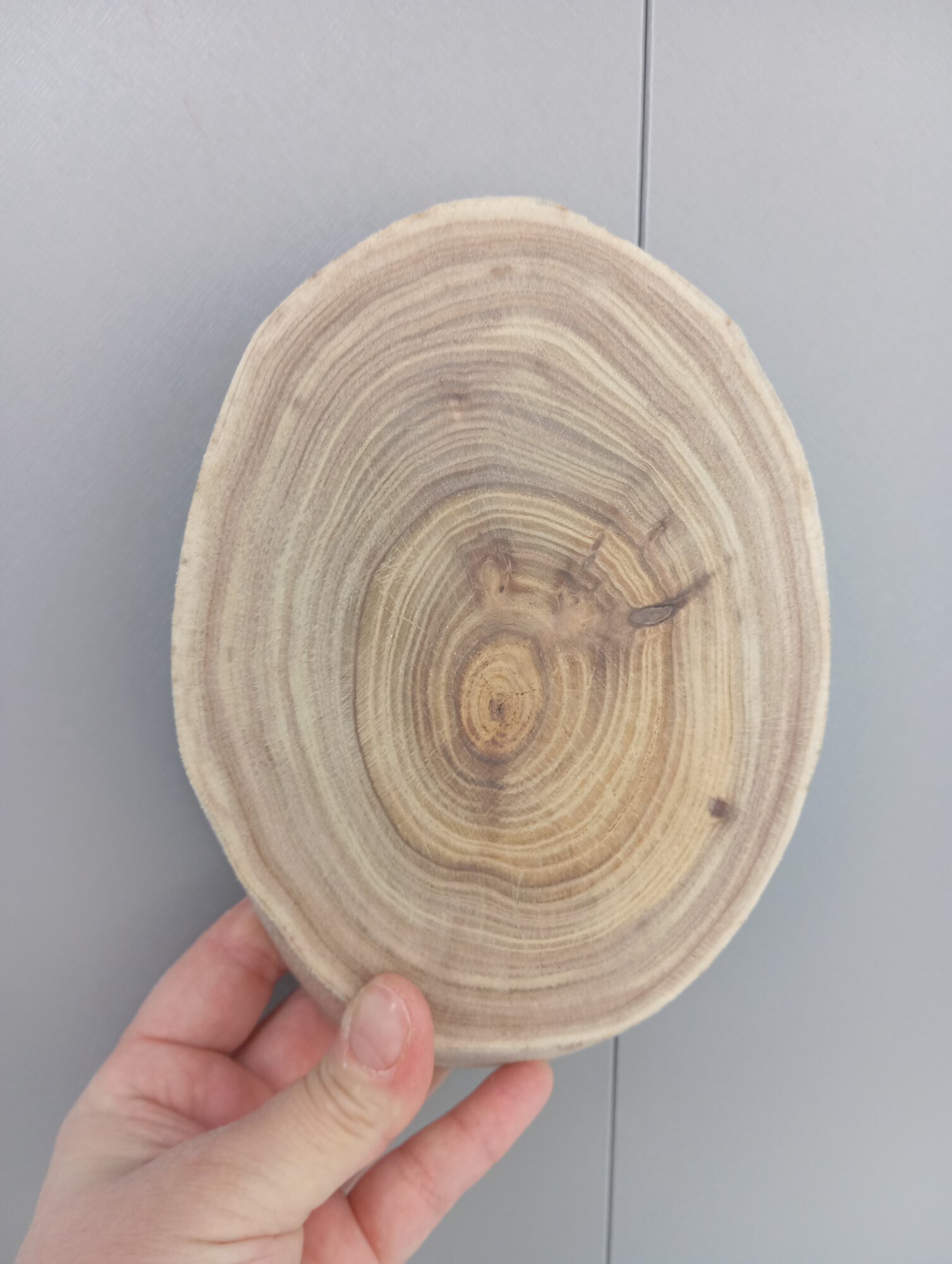 Спил дерева карагач, заготовка для поделок, доска 17*12*3,0см