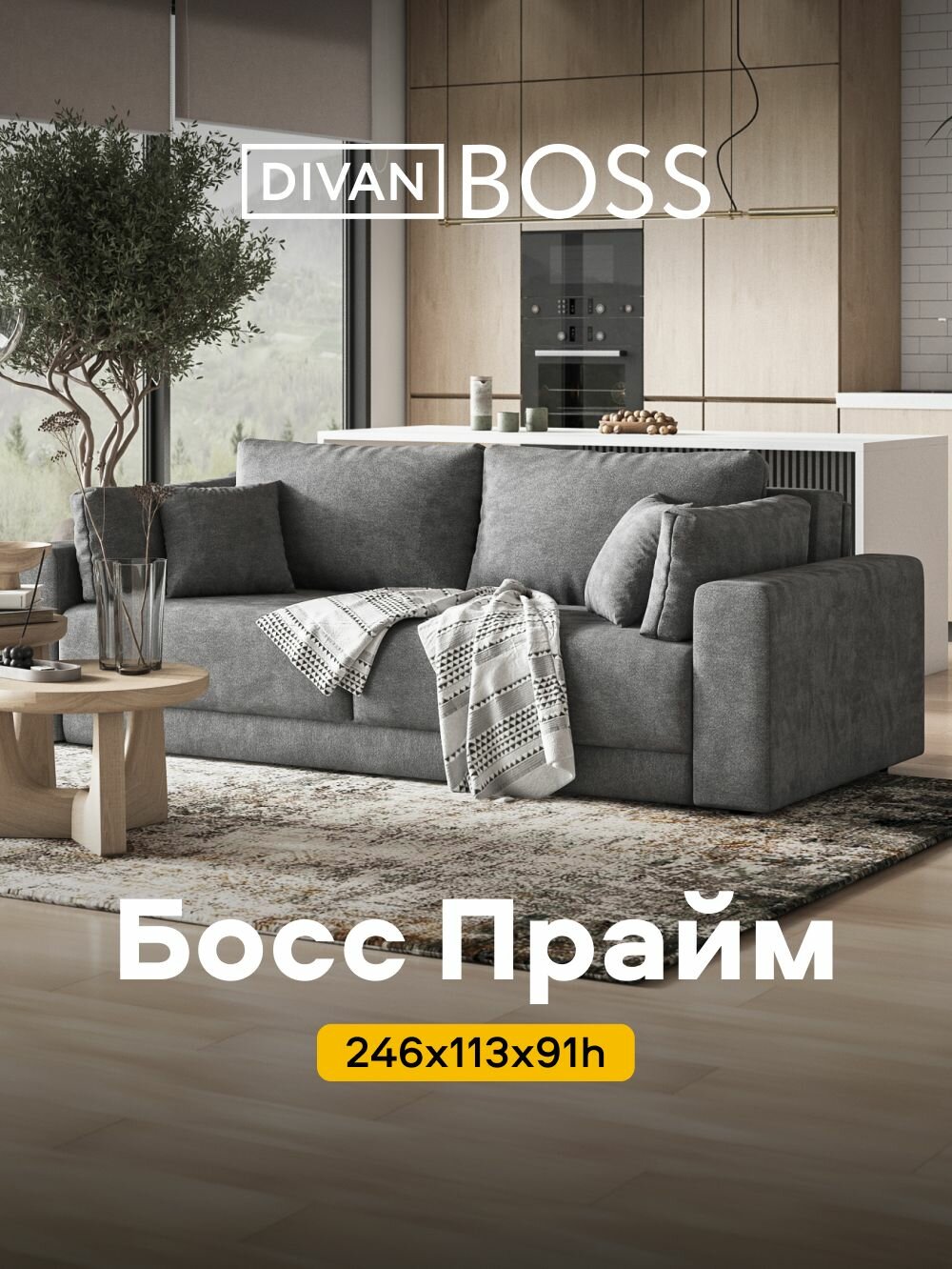 Диван-кровать с ящиком для хранения Босс Прайм, еврокнижка, шенилл Клауд графит, 246x113x91 см