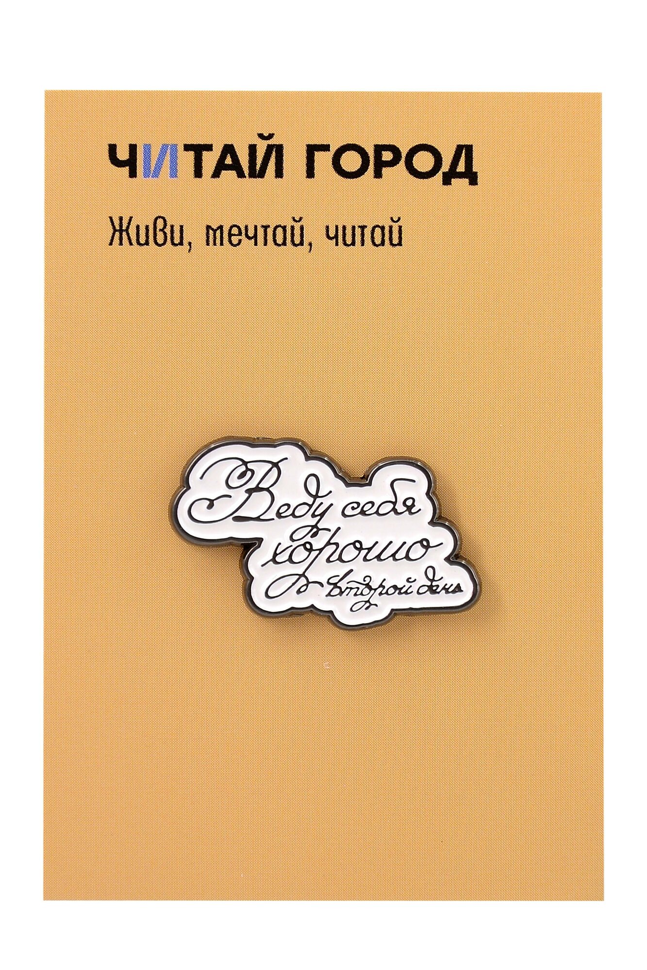 Значок металлический Веду себя хорошо (ЗнЦтВсх1)