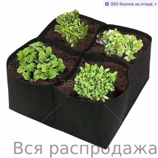 Грядка — фото 1