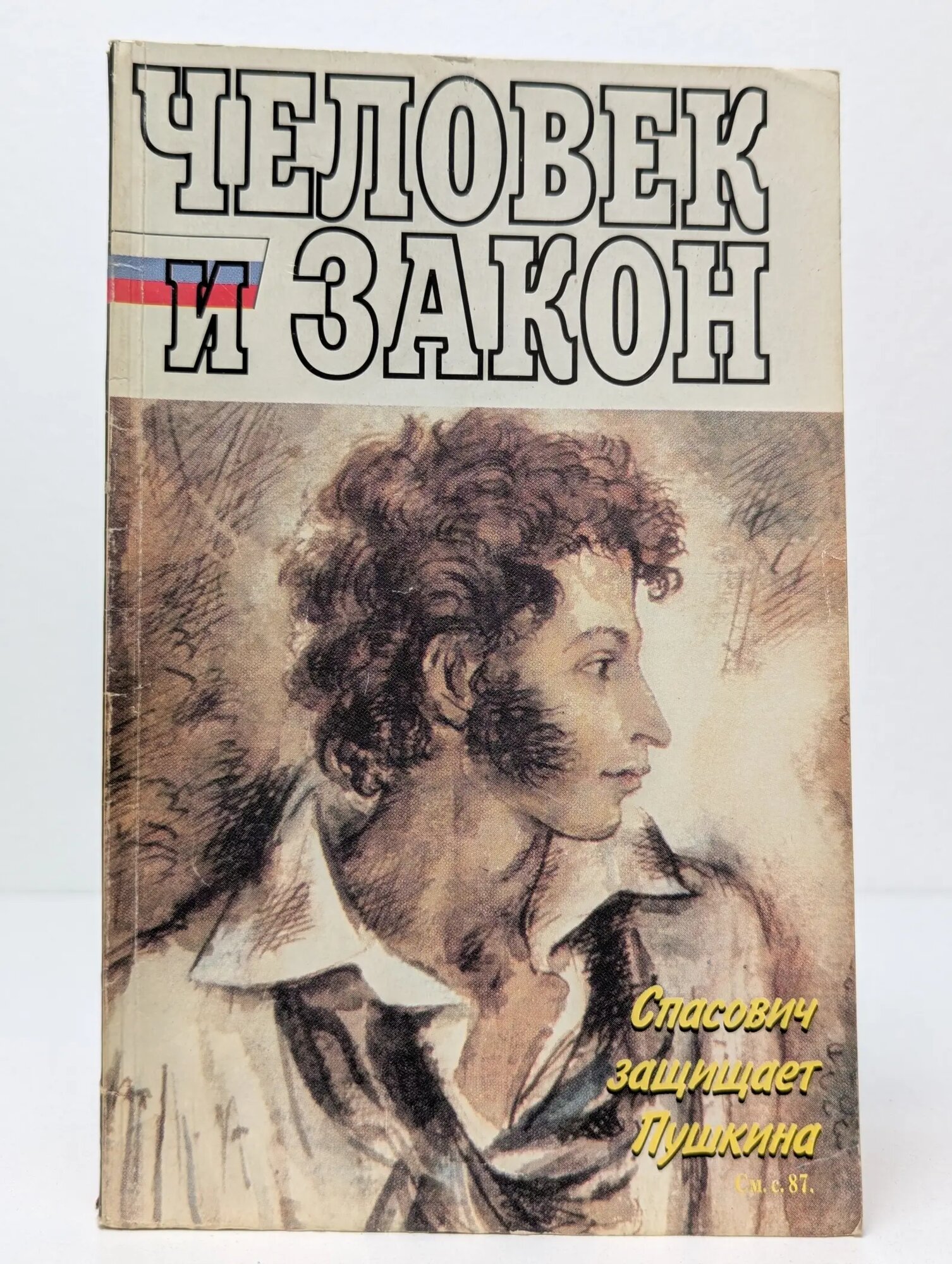 Человек и закон. Выпуск № 6/2001 Сборник 2001