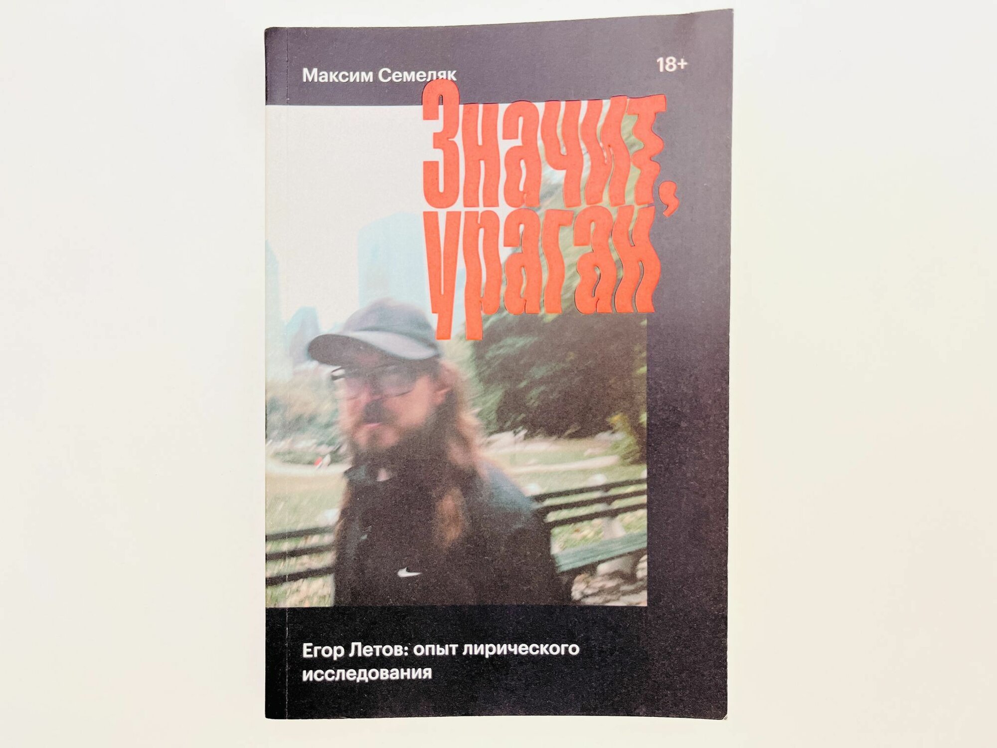 Значит, ураган. Егор Летов: опыт лирического исследования
