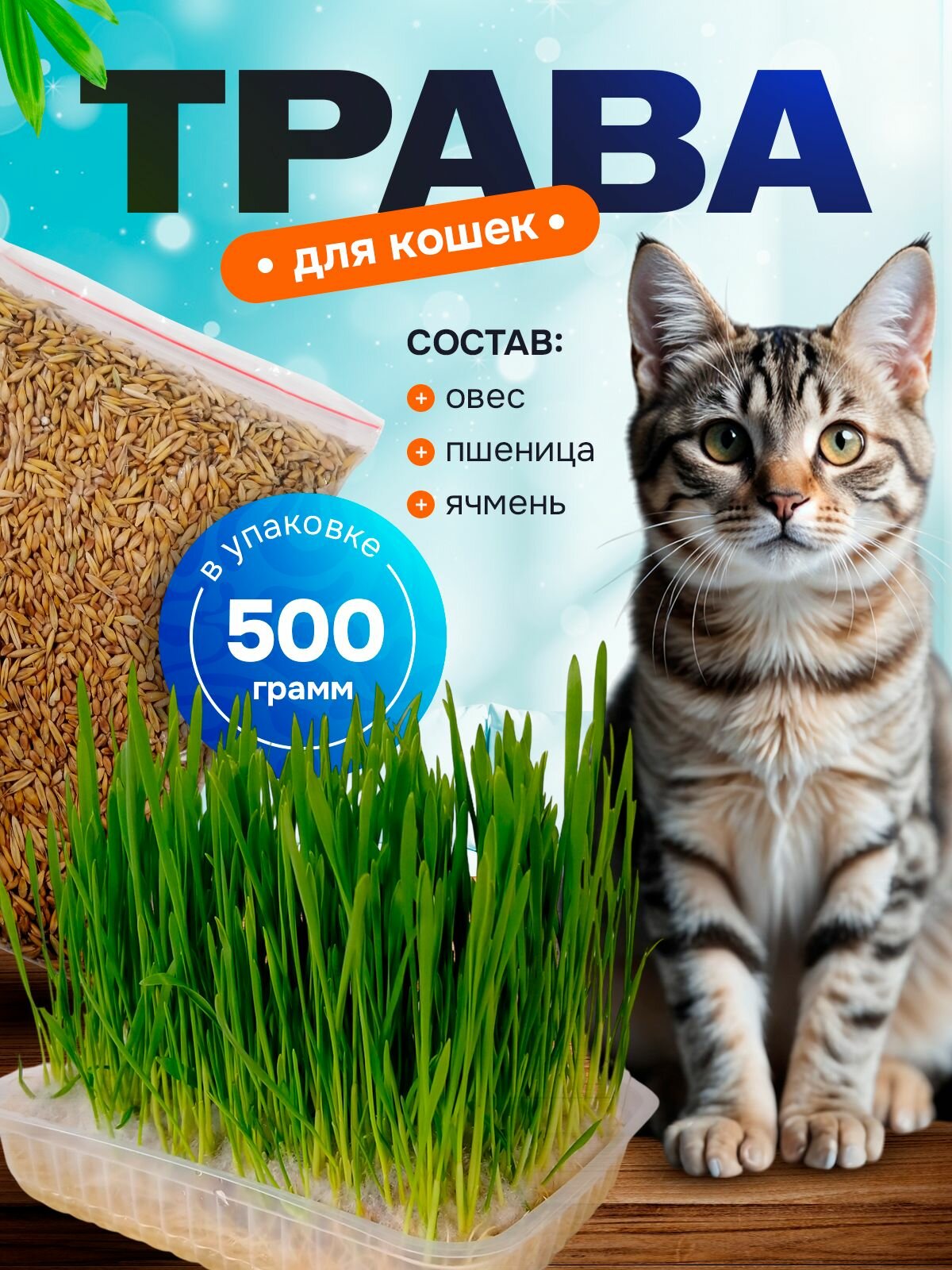 Трава для кошек. Семена овса для выращивания травы для кошек семена овса для кошек для выращивания домашние кошки