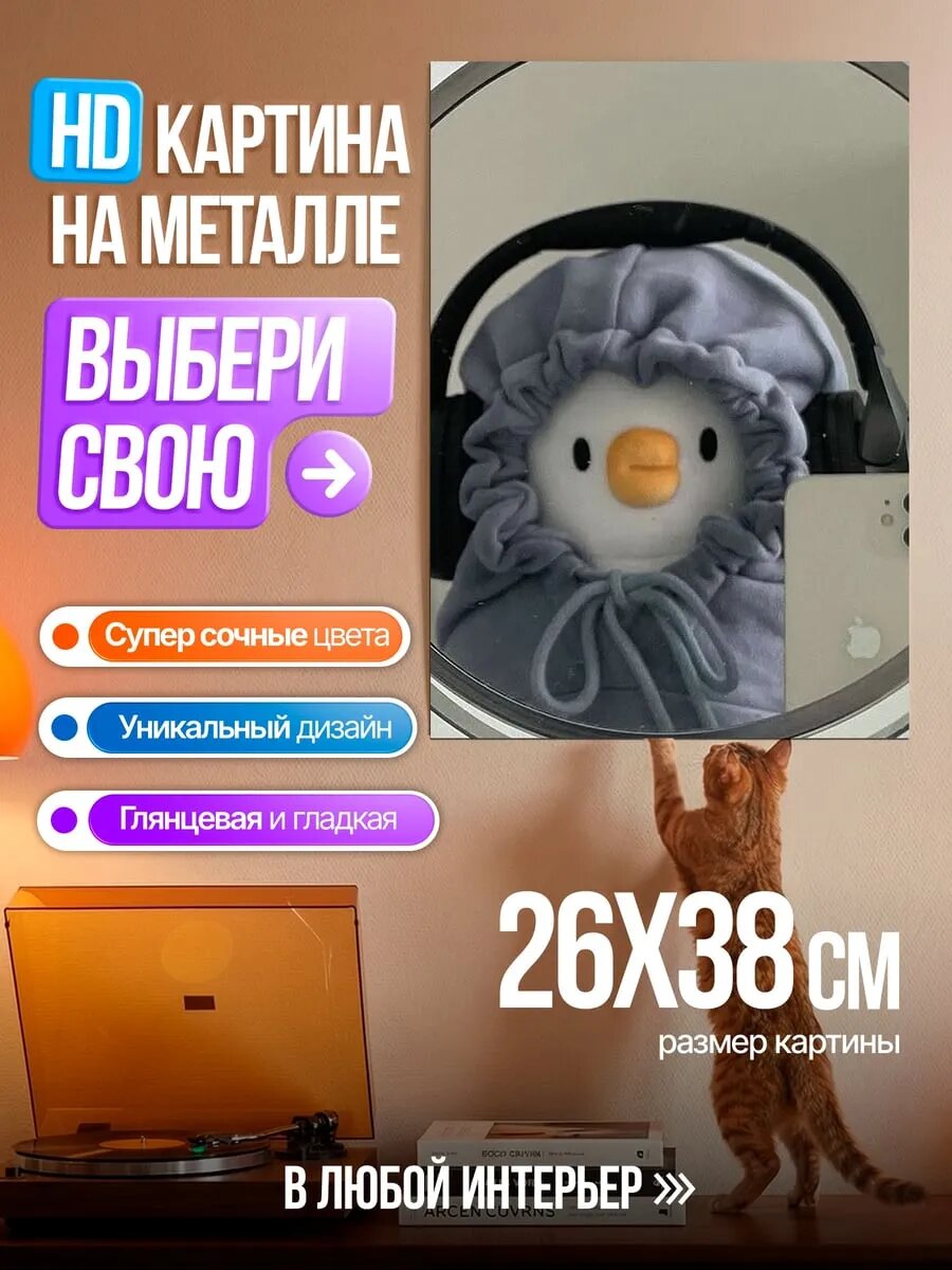 Картина на HD металле Пингвин в наушниках