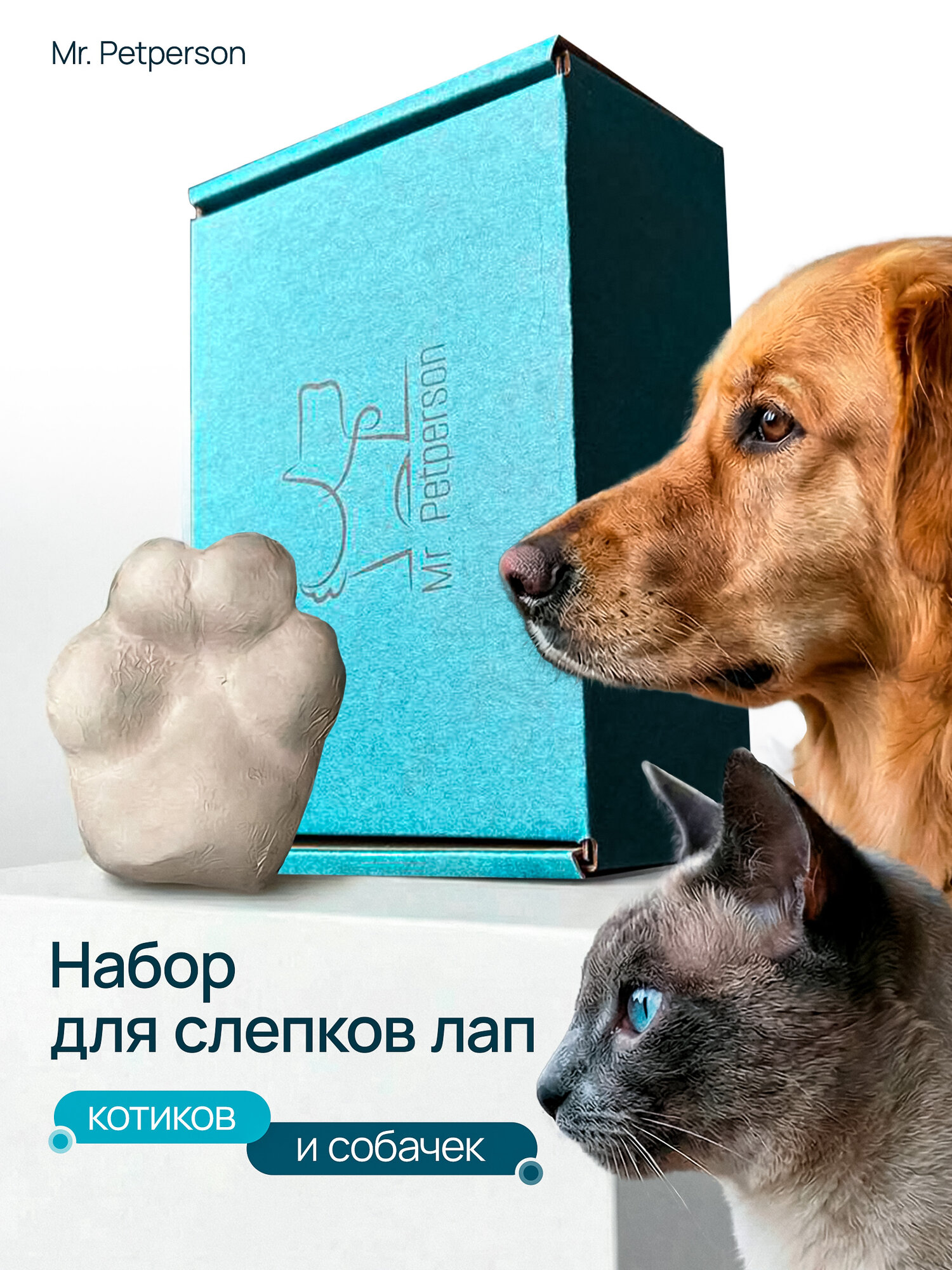 Набор для слепка лапы