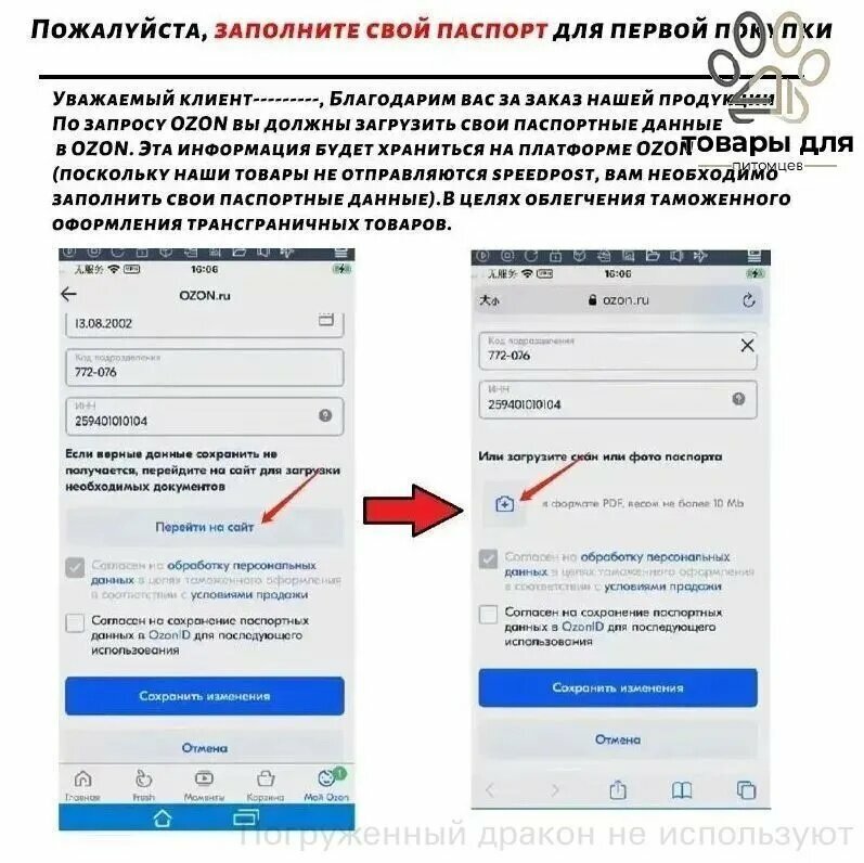 Подгузники для животных — фото 1