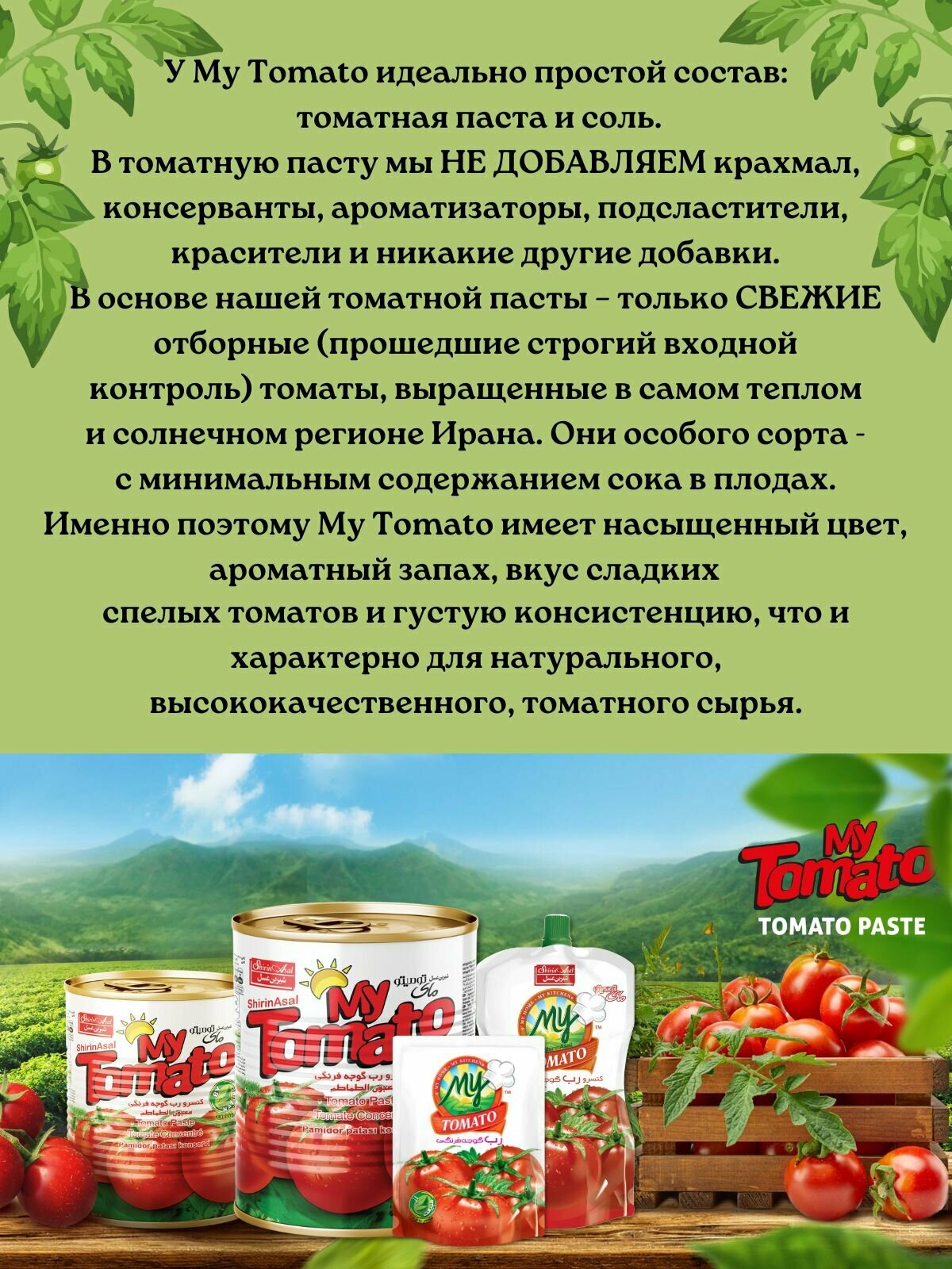 Томатная паста иран — фото 1