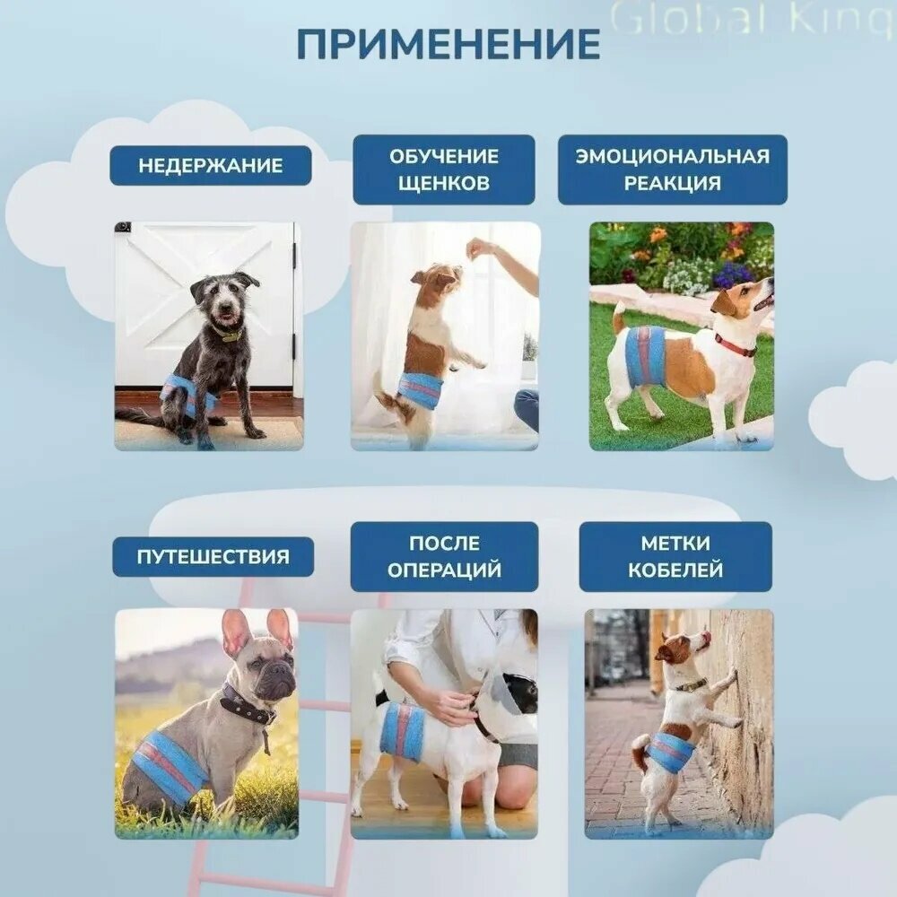 Подгузники для животных — фото 1