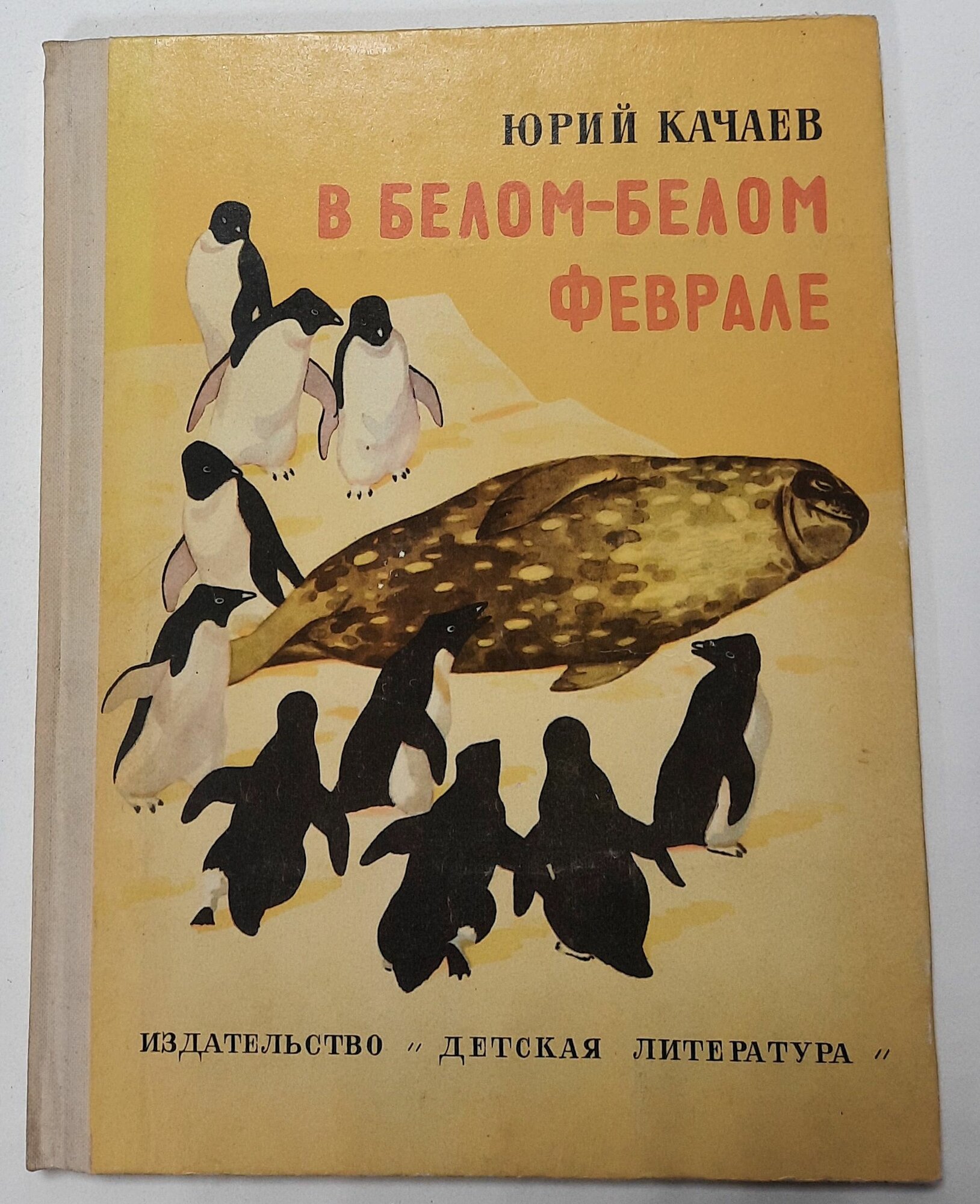 В белом-белом феврале