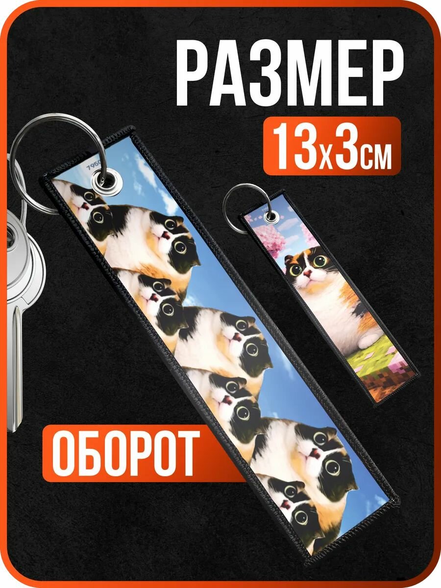 Брелок ремувка Котость мем — фото 1