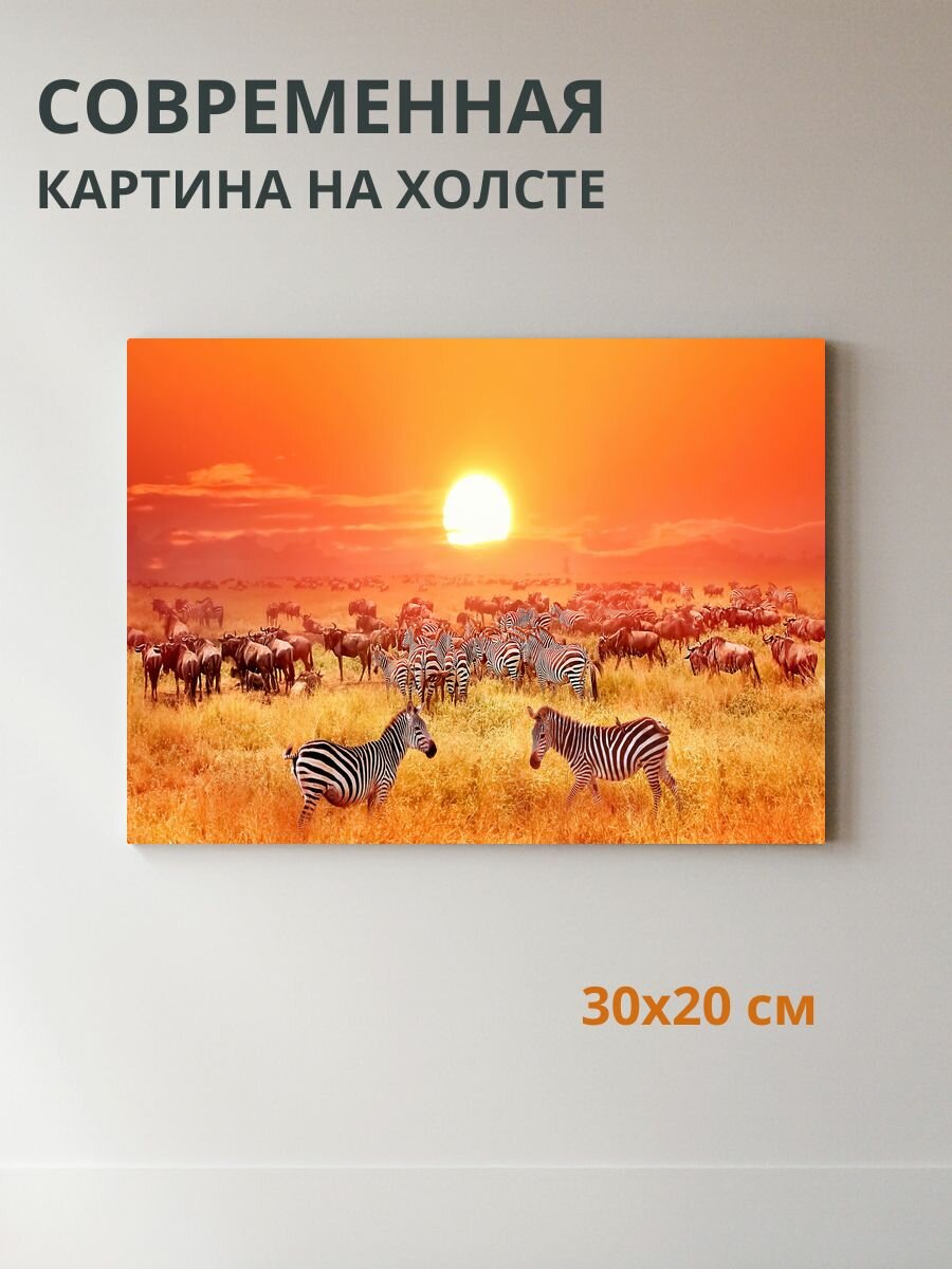 Картина на холсте Зебры и гну на саванне 30x20 см