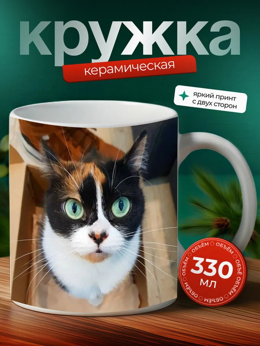 Кружка Далматинская киса кошка 9,