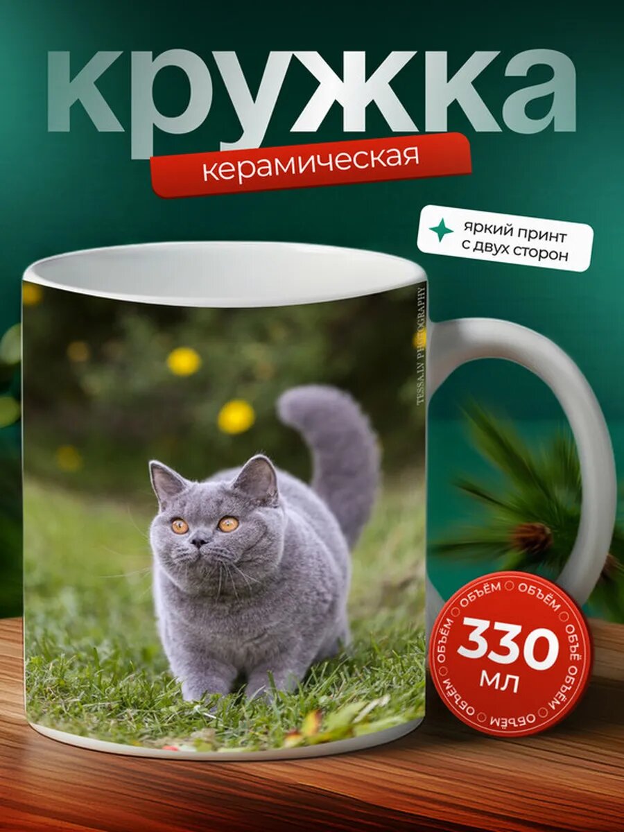 Кружка Барселонский гранит кот 39,