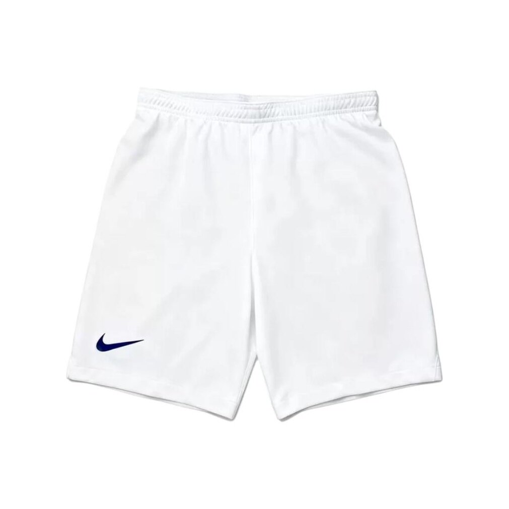Шорты спортивные Swoosh
