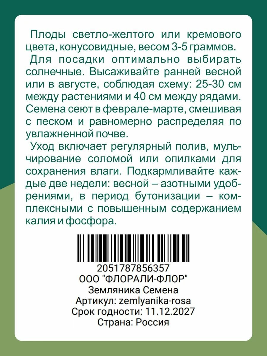 Земляника Семена — фото 1