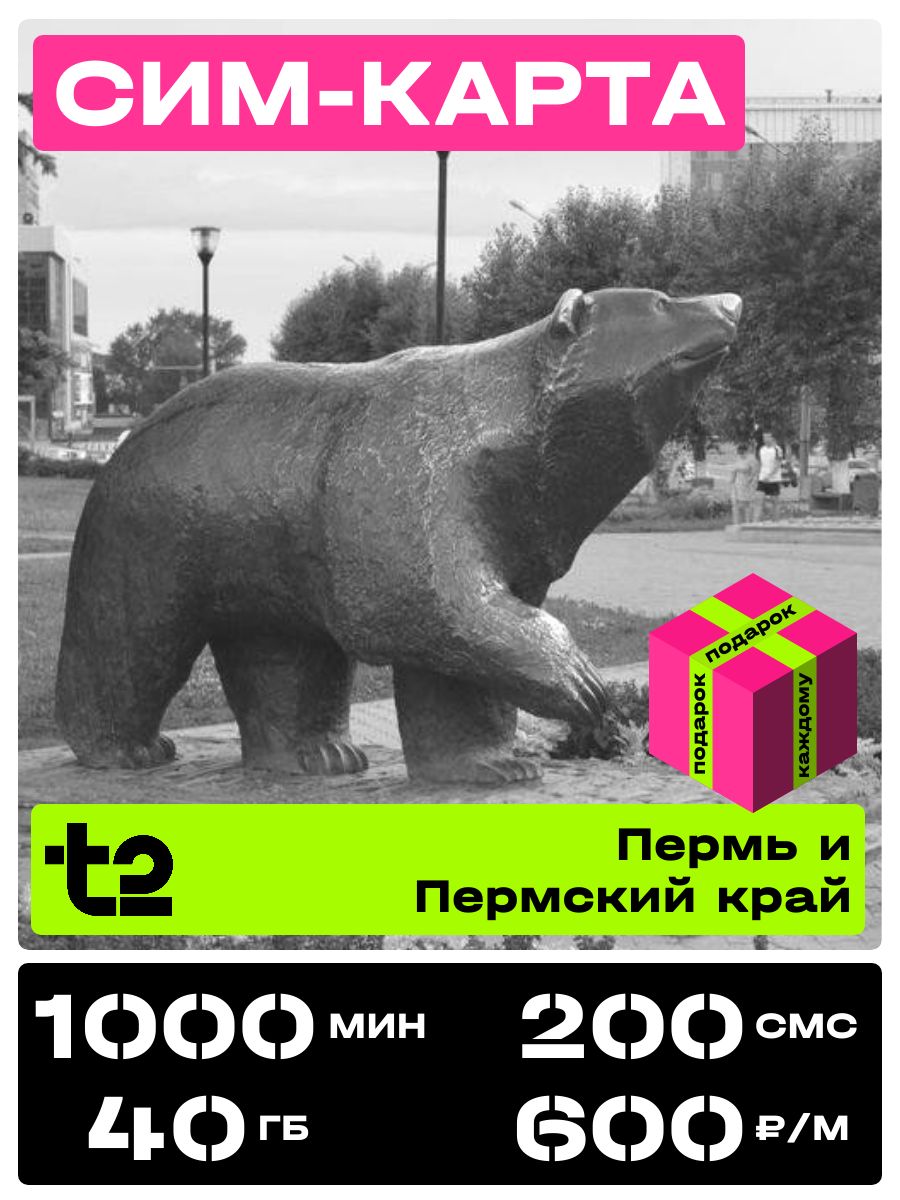 Сим карта теле 2. t2 SIM-карта тариф Партнер М Пермский край. 1000 минут за 600 рублей в месяц.