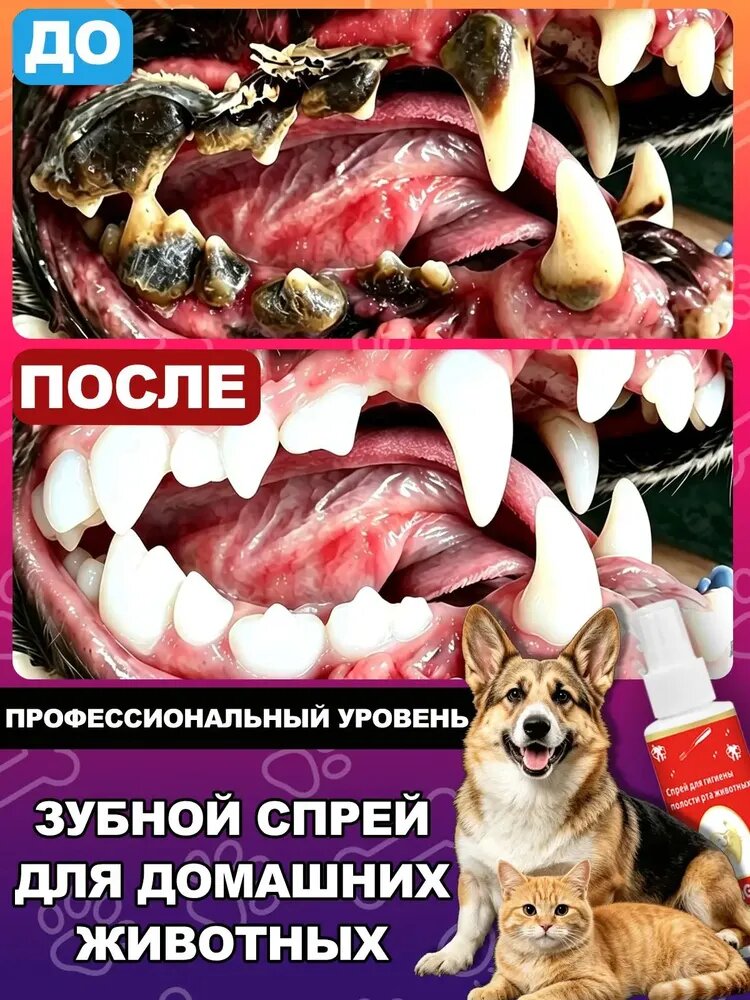 Профессиональный уровень, зубной спрей для домашних животных 60 мл, PET ORAL SPRAY
