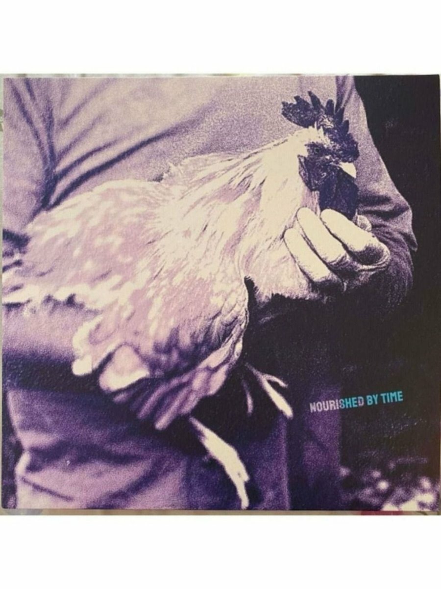 Виниловая пластинка Nourished by Time - Catching Chickens (Vinyl, 12", 45 RPM, 2024)