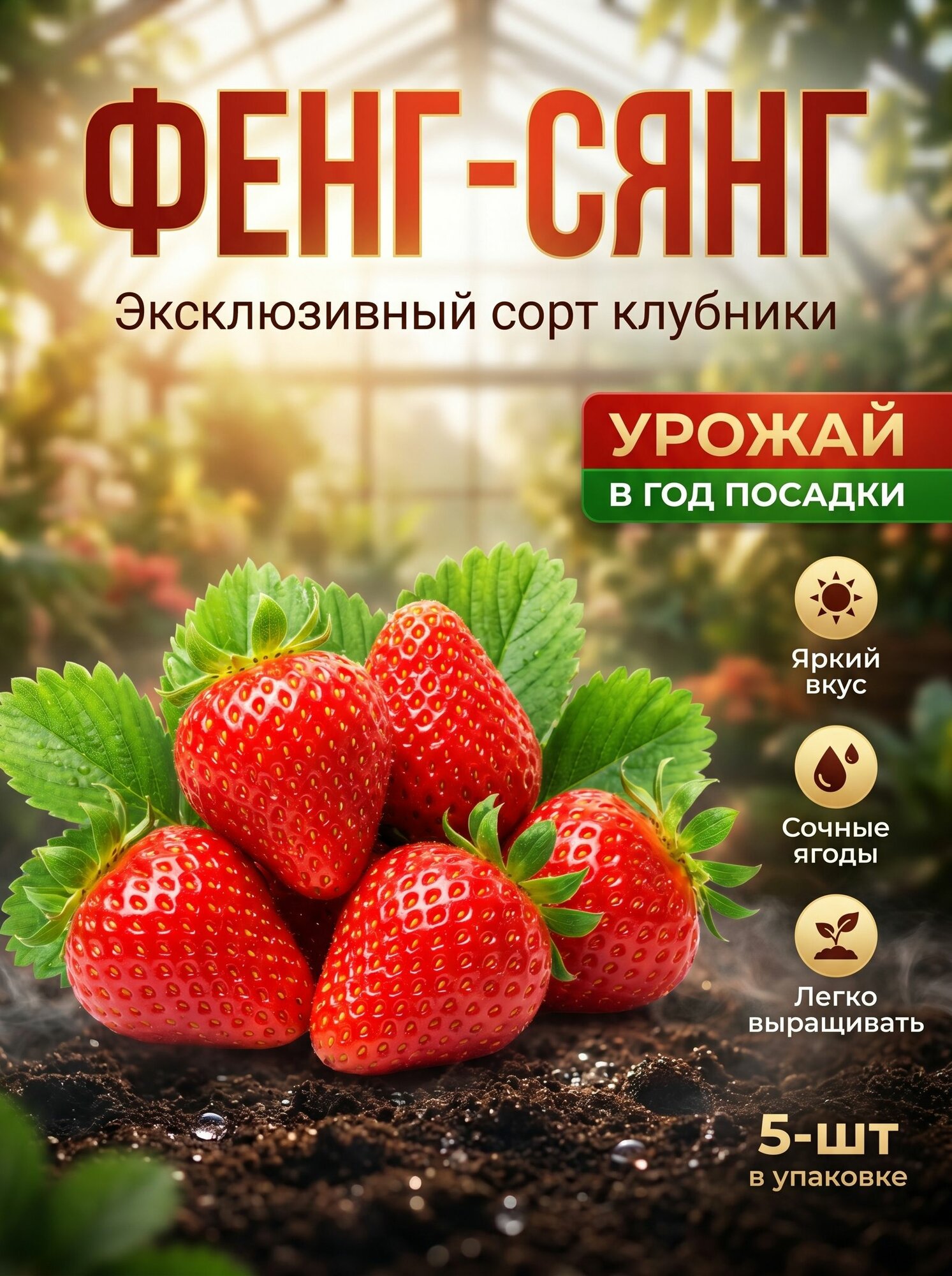Саженцы клубники фенг-сянг 5-шт доедет хоть куда