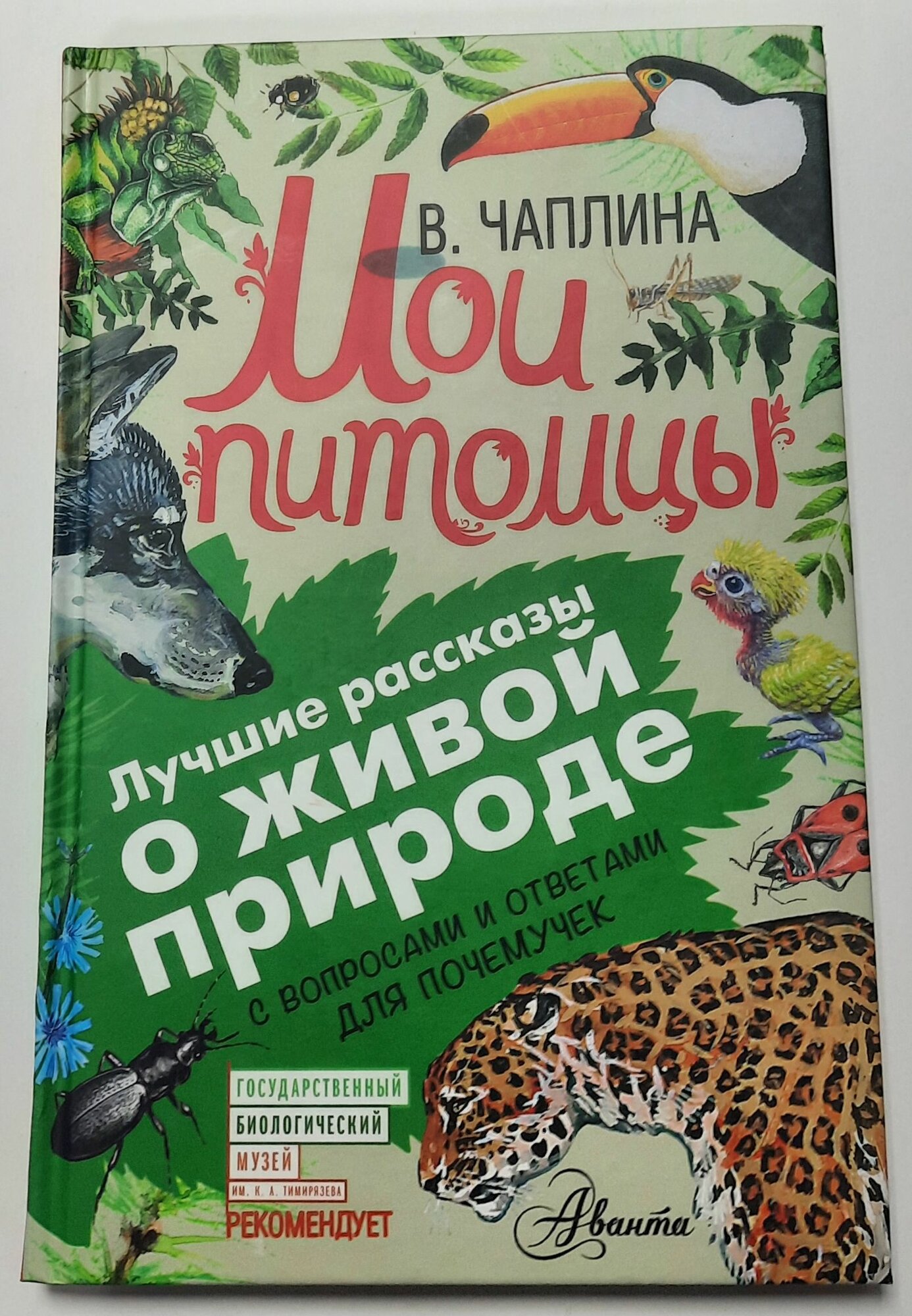 Мои питомцы Чаплина Вера Васильевна