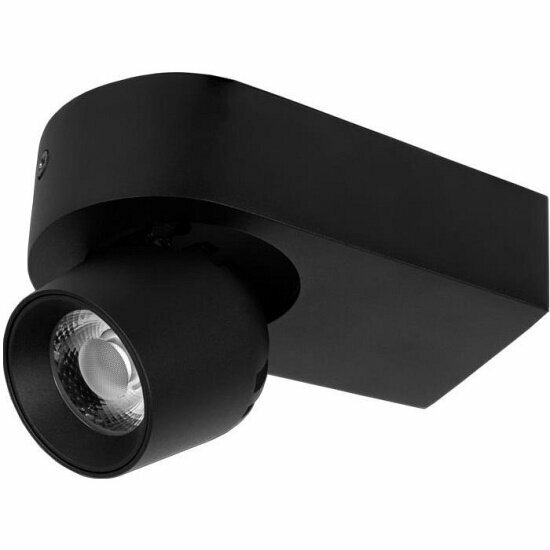 Накладной светильник Loft IT Quiet 10320 Black