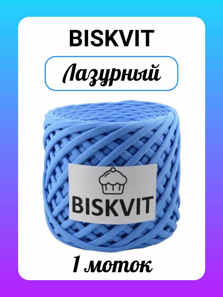Пряжа Biskvit Лазурный, 330 г, 110 м, 1 штука