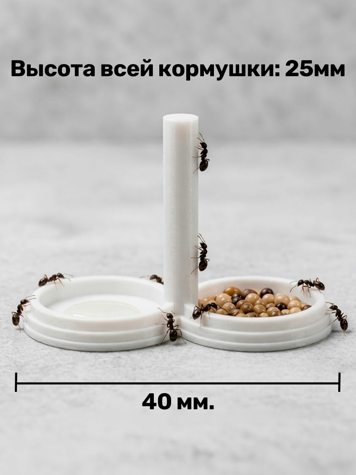 Кормушка для муравьёв — фото 1