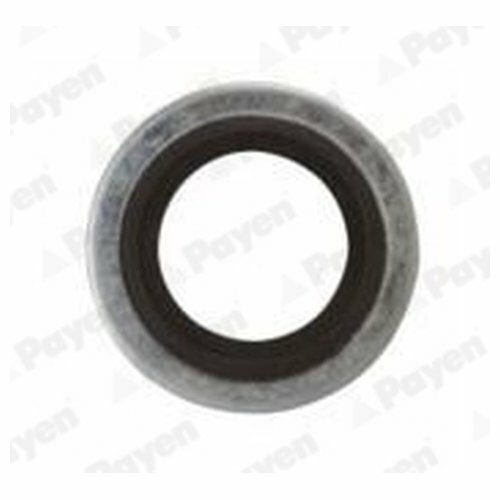 Шайба под сливную пробку corsa f-astra l-mokka-partner-berlingo-p206-p207-p208-p301-p306-p30 Payen PB852 для Peugeot 106 I; Renault 21, 25