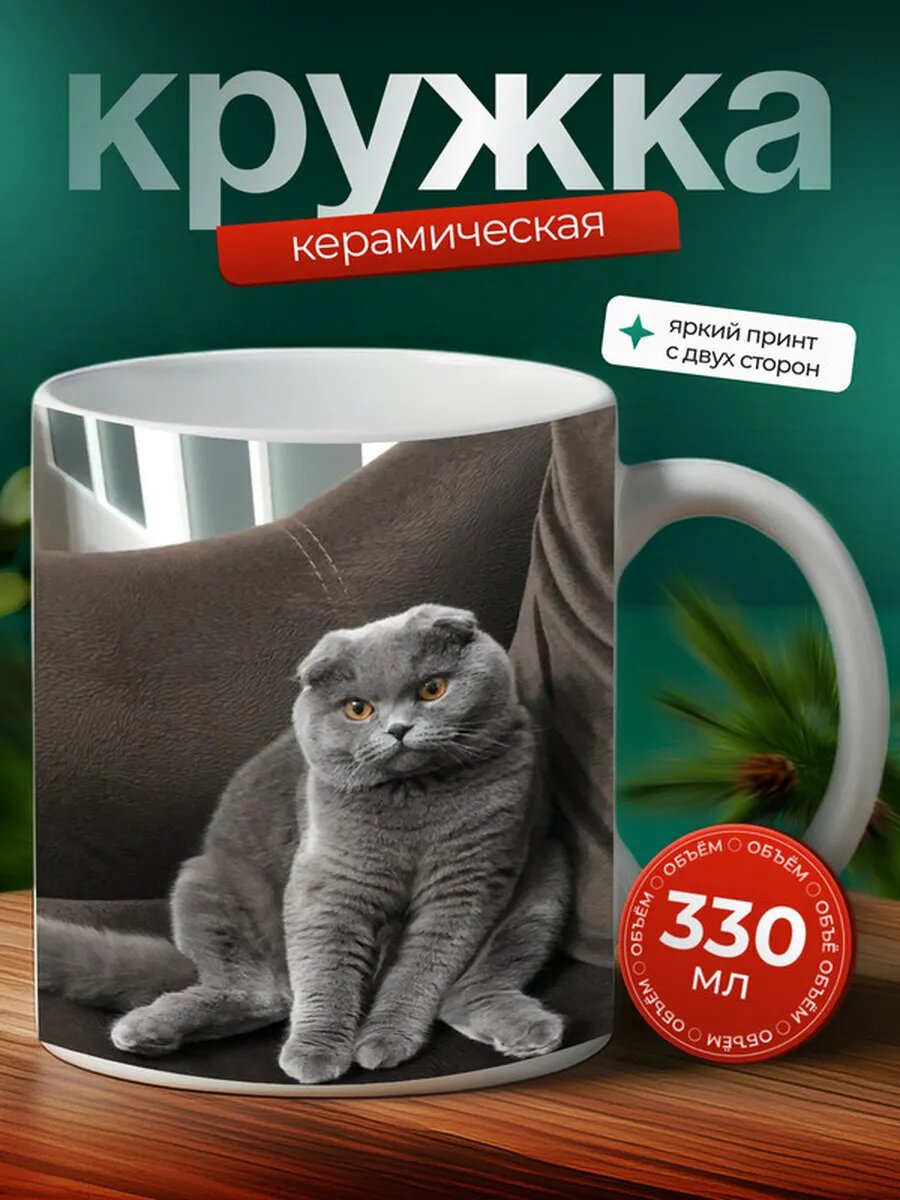 Кружка Мадридский гранд кот 21,