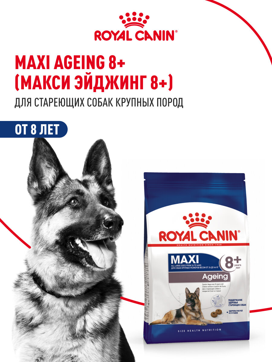 Сухой корм для собак пожилых Royal Canin Maxi Ageing 8+ для крупных пород, 15 кг