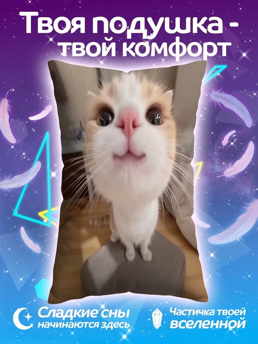 Подушка дакимакура Забавный котик крупным планом