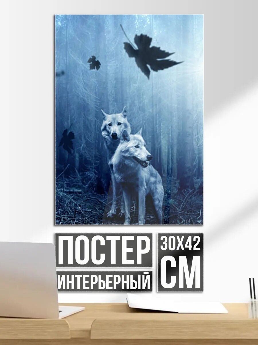 Постер на стену Волки в тёмном лесу