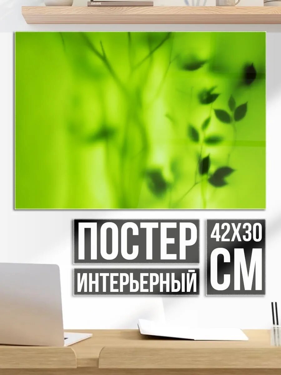 Плакат постер Зеленые листья фон