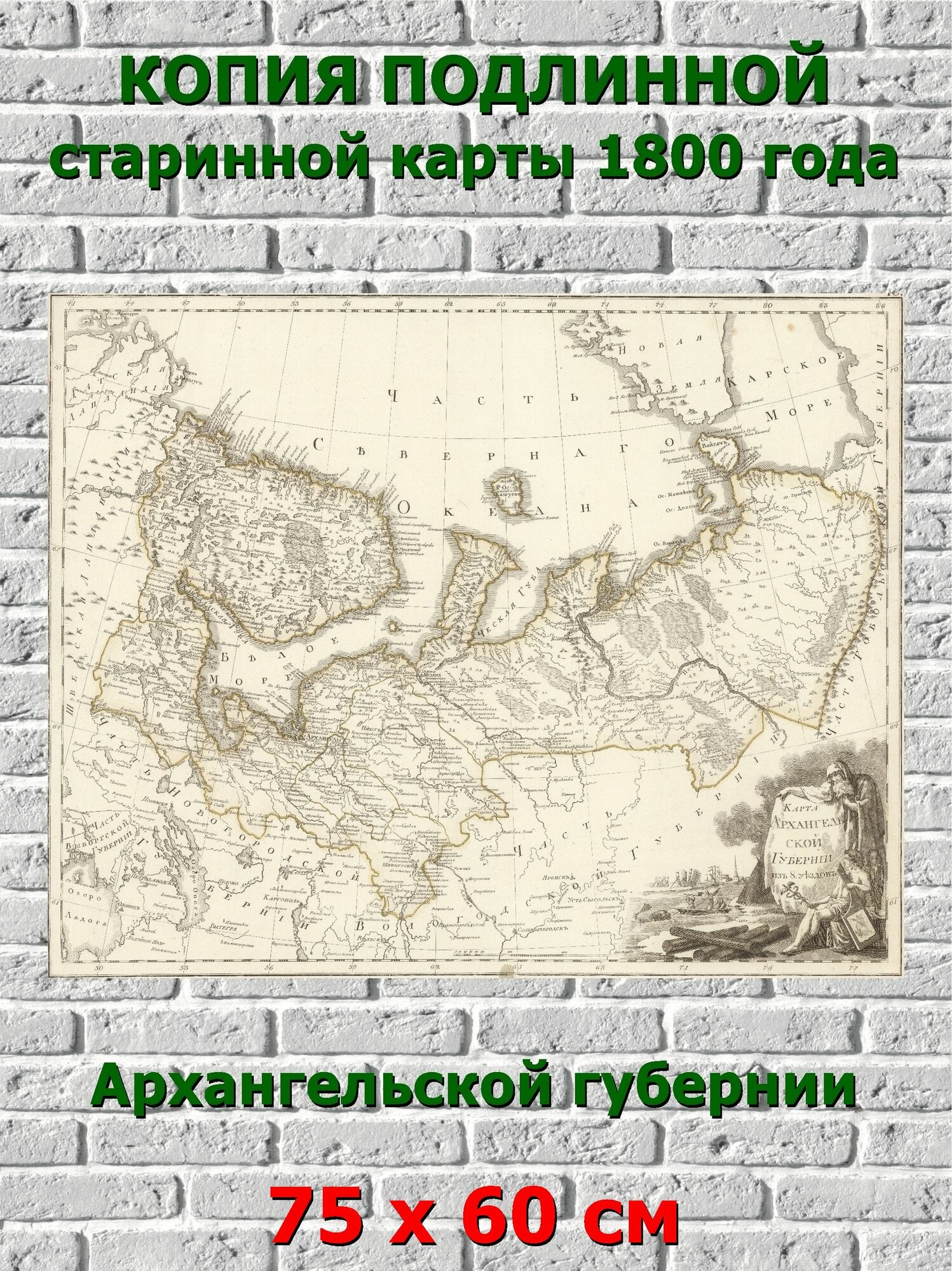 Карта Архангельской губернии 1800 г. 75х60см