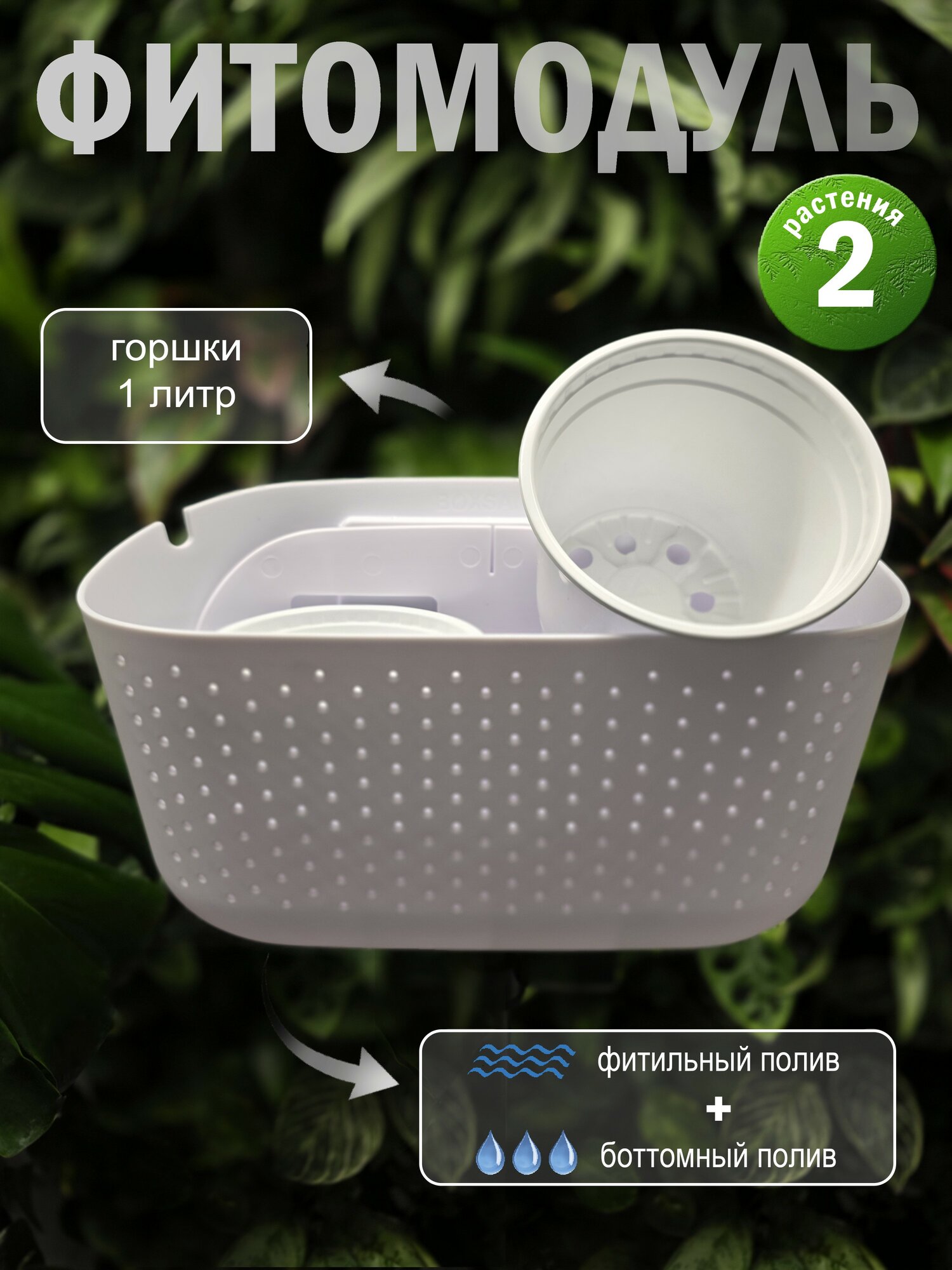 Фитомодуль BOXSAND-2 (34х18 см) с горшками 1 литр