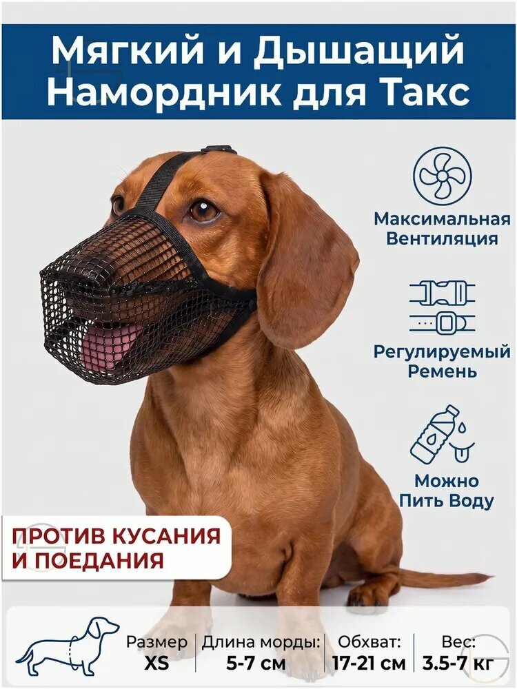 Качественный фиксируемый намордник для мелких собак, выполненный из дышащей сетки, с регулировкой под размер XS, применяемый для предотвращения подбирания и укусов.