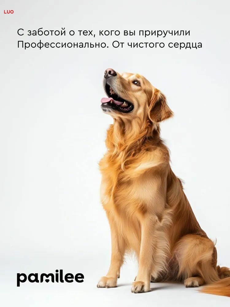 Влажные салфетки для чистки зубов собак, кошек, антибактериальные, Pamilee, 50 шт.