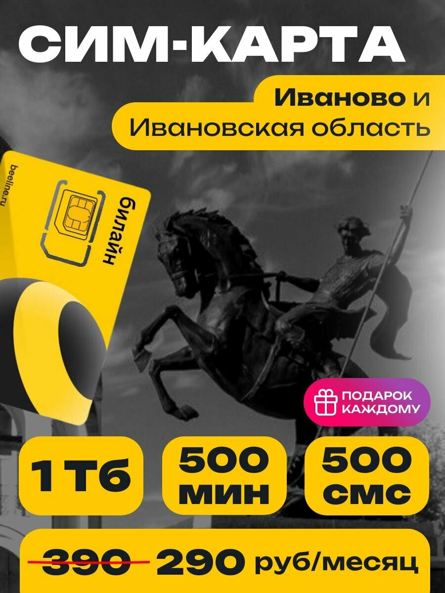 Сим-карта Билайн тариф Эксклюзивный Онлайн Лайт Ивановская область 1024 Гб + 500 минут за 290 руб.