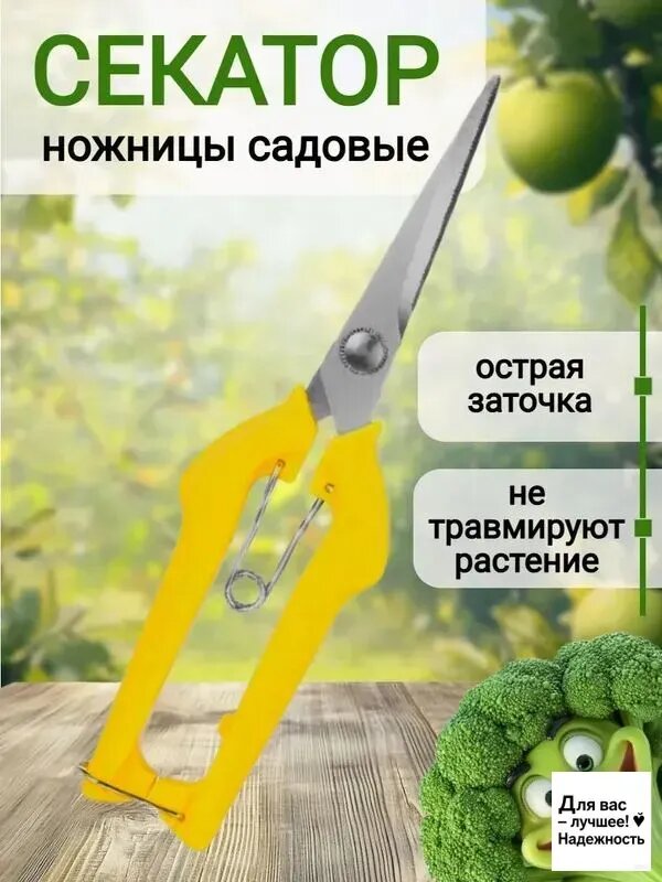 Сучкорез