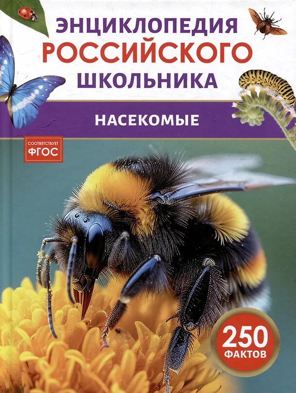 Насекомые. Энциклопедия российского школьника. 250 фактов
