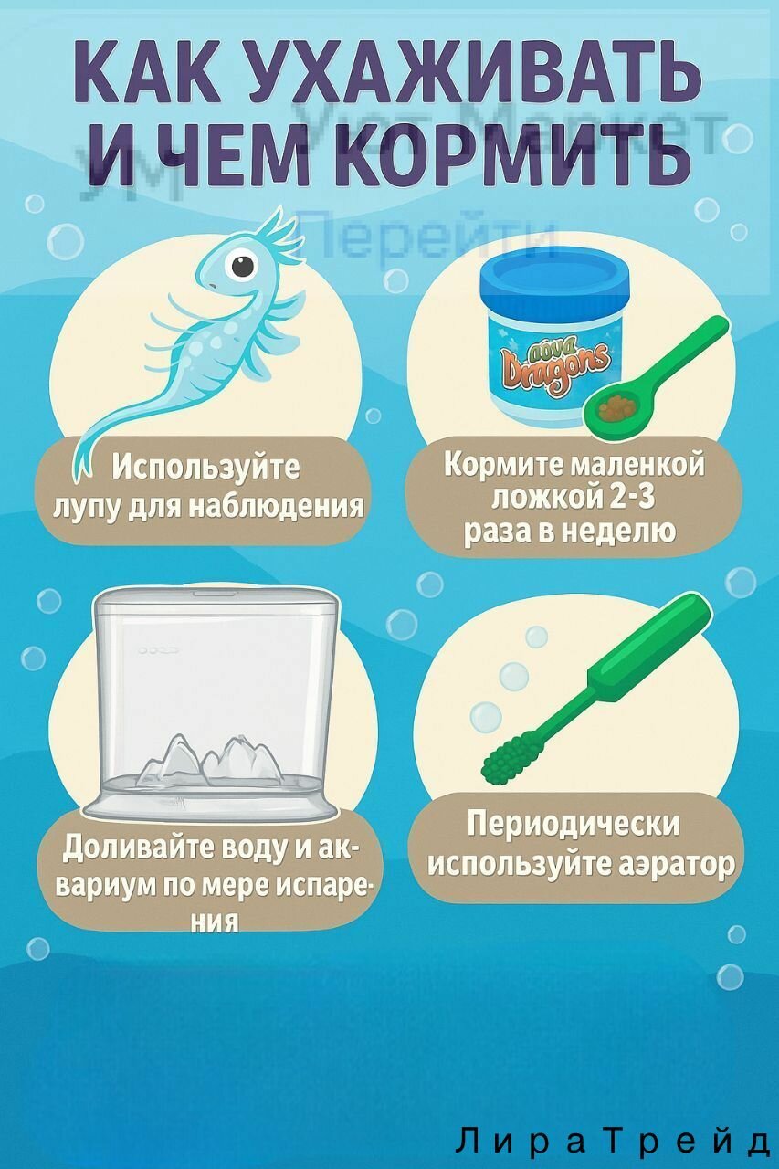 Набор Aqua Dragons мини-аквариум — фото 1