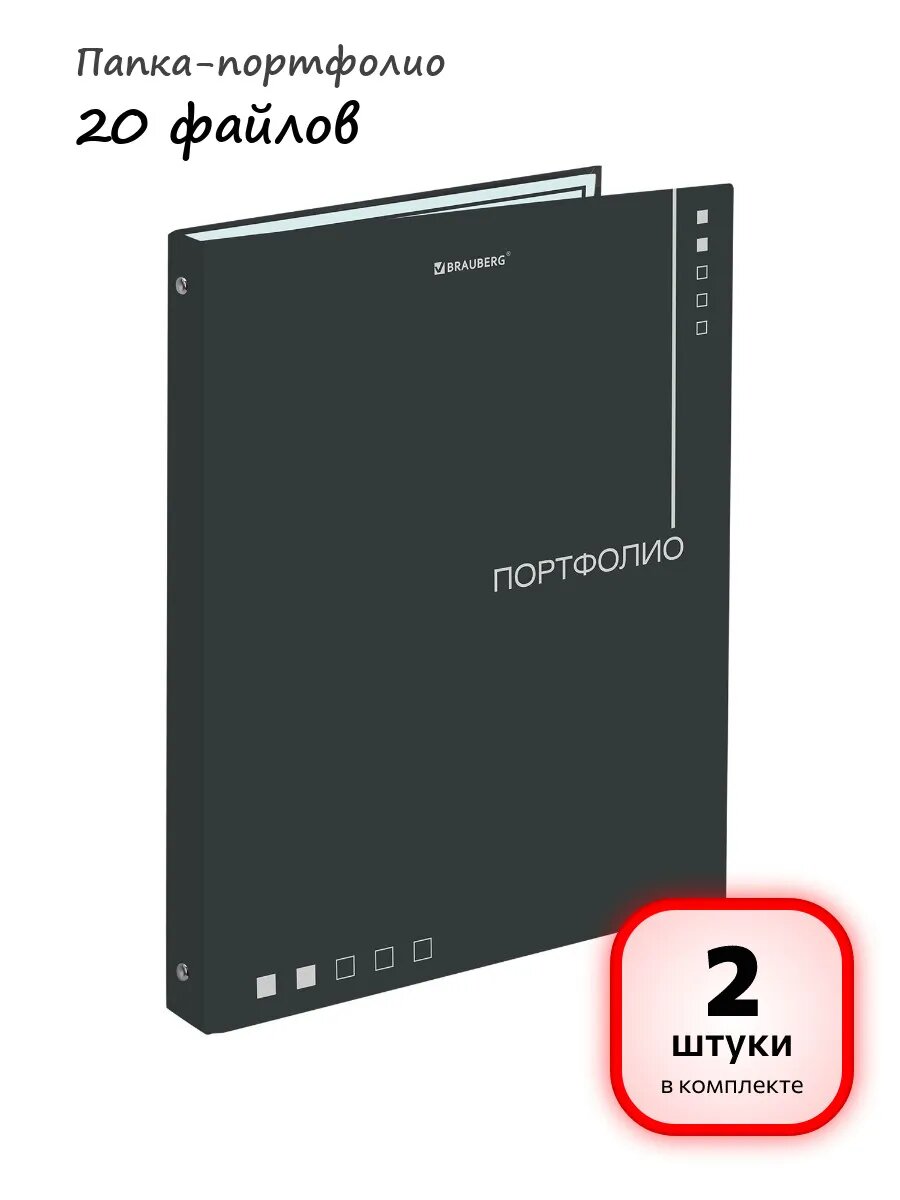 (2 штуки) - Папка-портфолио 20 файлов арт. 117553