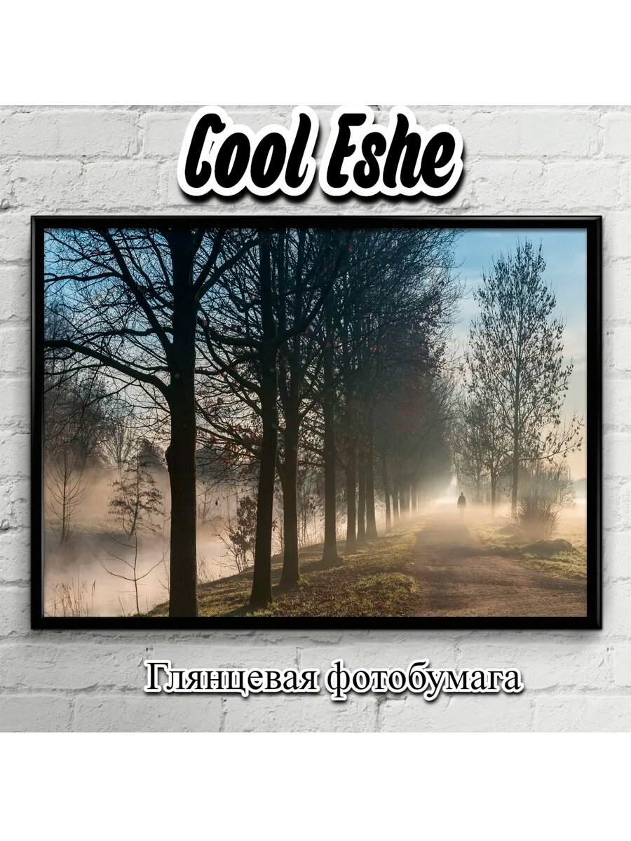 Плакат "Туманная аллея, сквер, деревья" А4