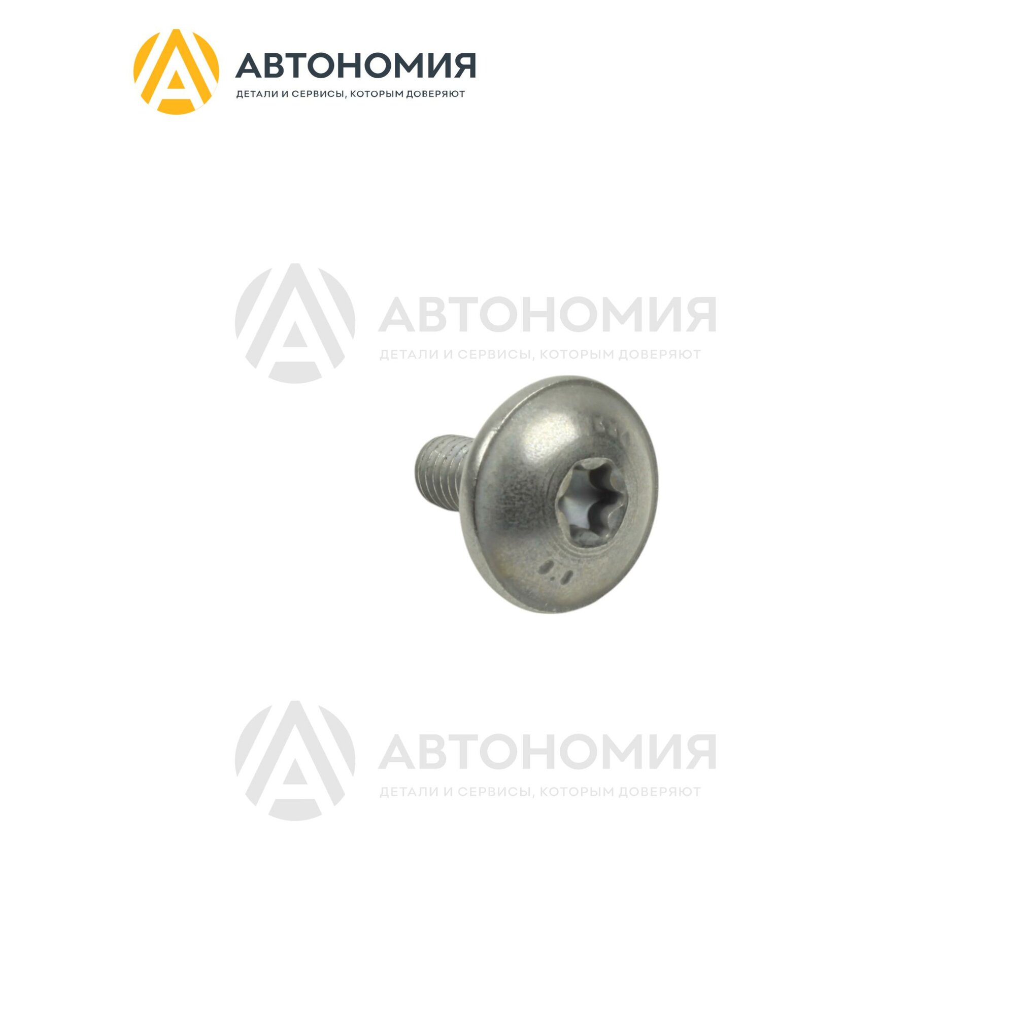 Саморез с внутренним torx VAG N91 042 301