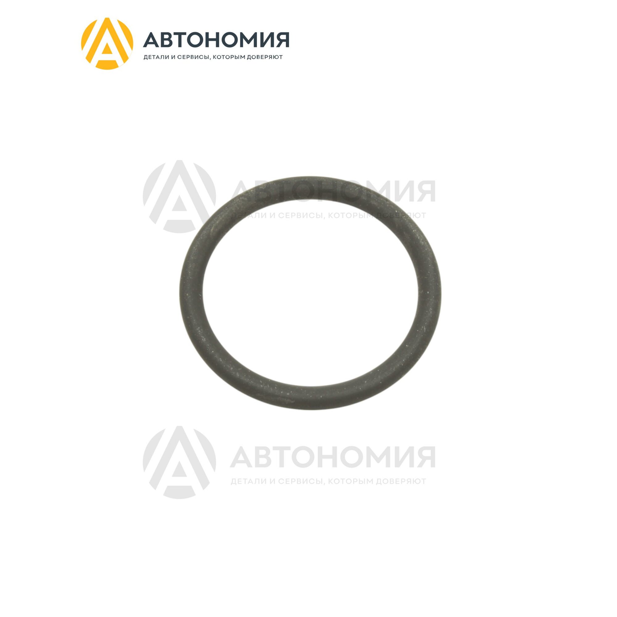 Кольцо уплотнительное Chery 473H-1307021