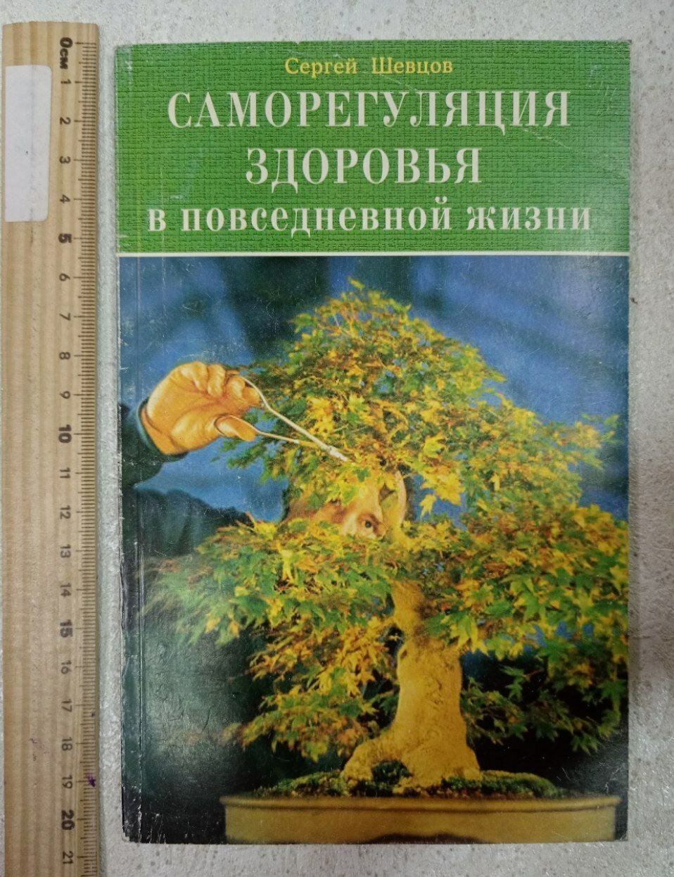 Саморегуляция здоровья в повседневной жизни. Сергей Шевцов